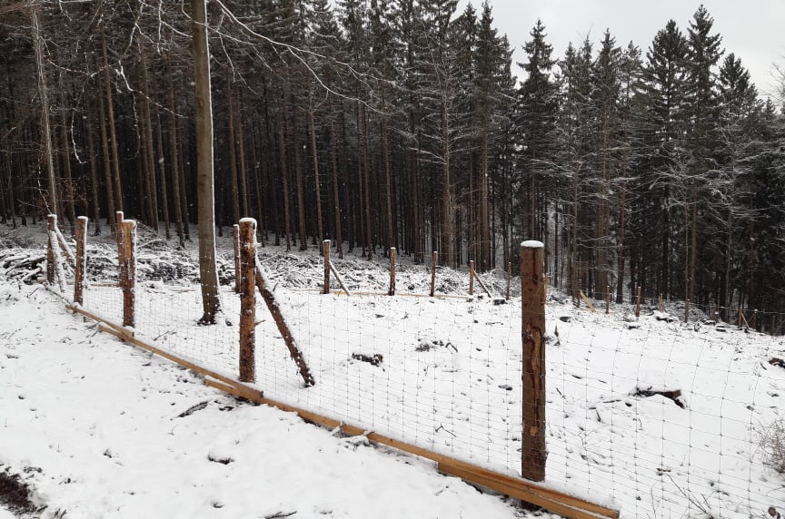 Stavba lesní oplocenky krok po kroku | levne-oploceni.cz