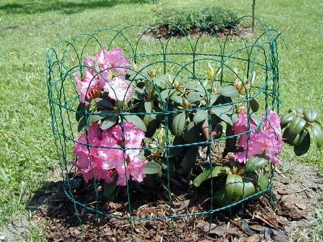 Okrasné ploty | levne-oploceni.cz